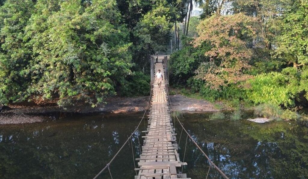 The Best wildlife Safaries to visit in Kerala – Select India Holidays ...